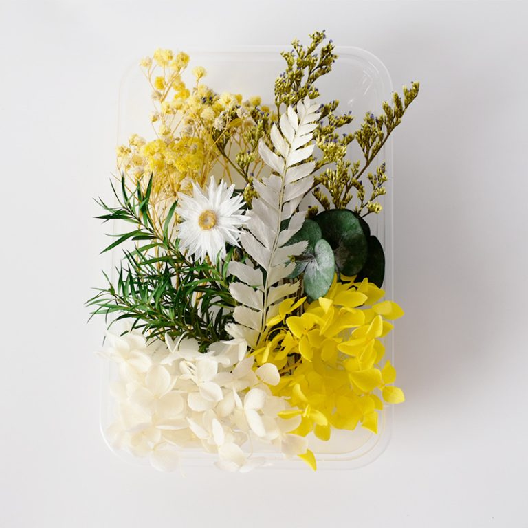 Dried Flower Boxes | Preeti